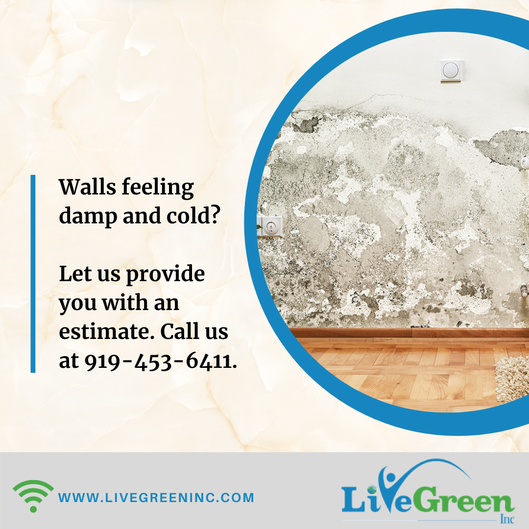 Damp & Cold Walls - Live Green Inc. | Raleigh, NC